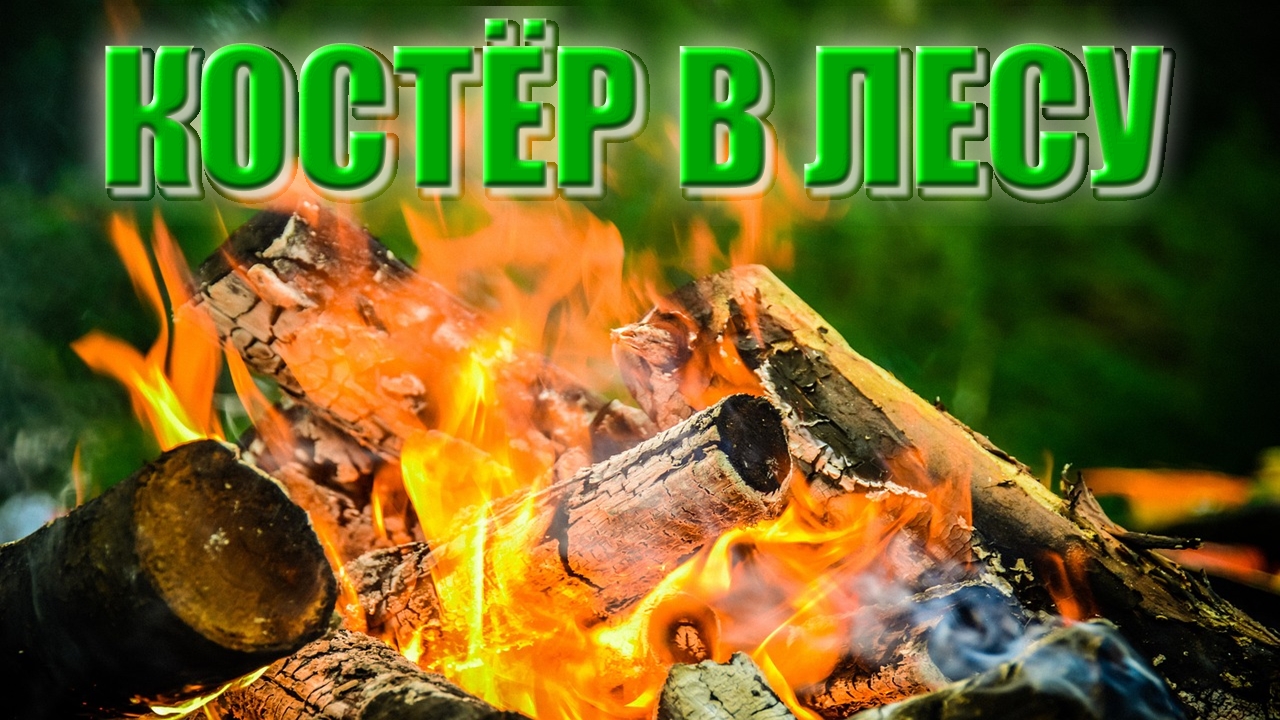 ПЕНИЕ ПТИЦ В ЛЕСУ,РУЧЕЙ,КОСТЁР.Укрепление нервной системы.Снятие стресса.Для ХОРОШЕГО сна.