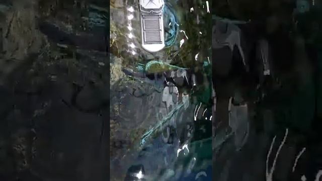 Огромная рыбина