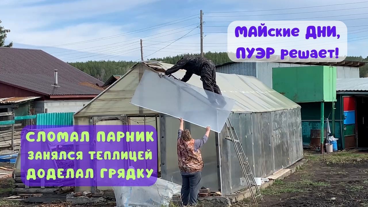 РАБОТА В САДУ, ОБНОВИЛИ ТЕПЛИЦУ И РАЗОБРАЛ ПАРНИК
