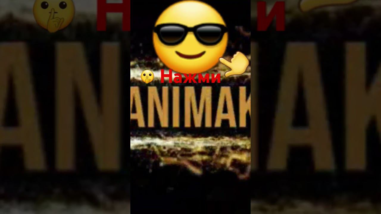 27 июня 2024 г.