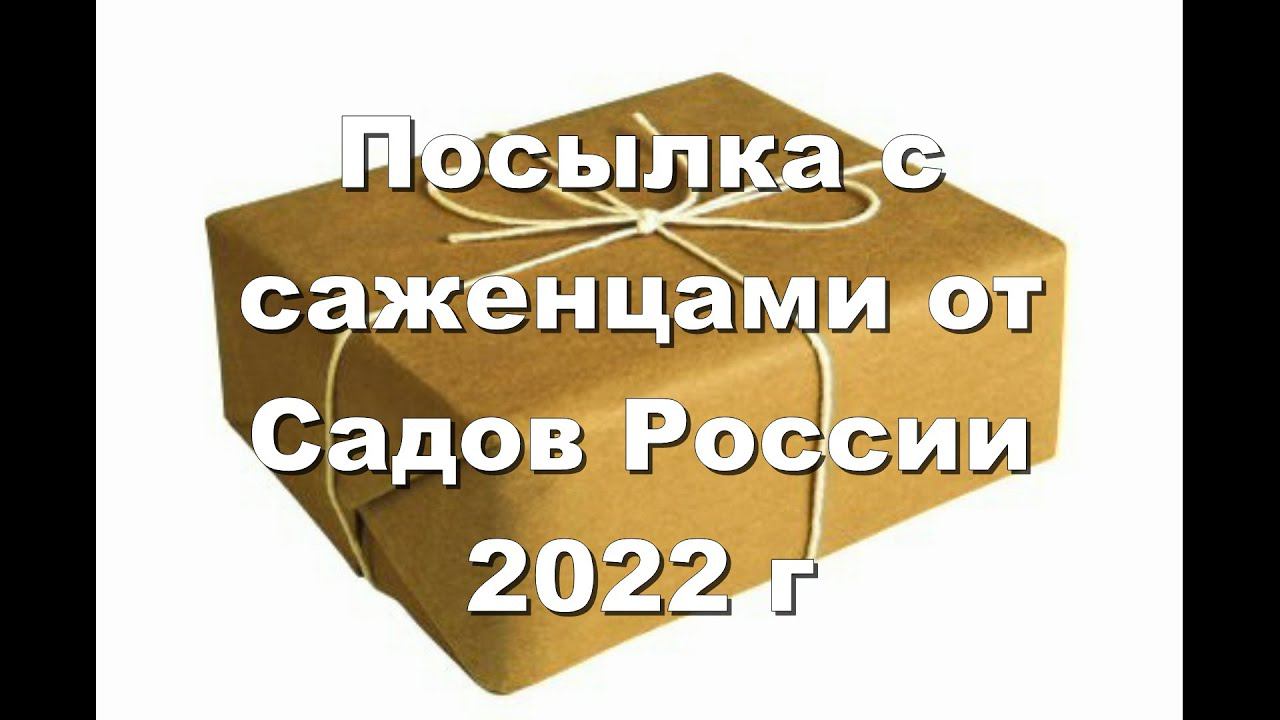 Посылка с саженцами Сады России 2022 г.
