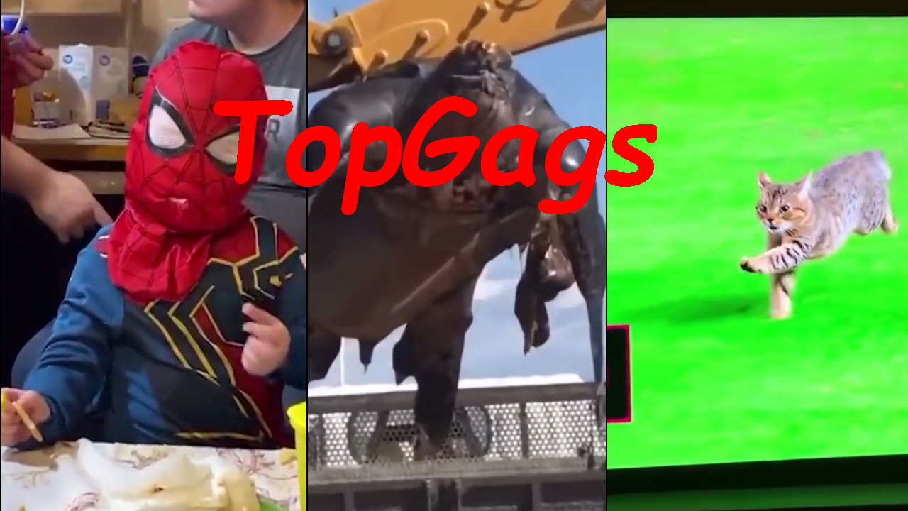 Футболист от Бога, Дружное "Болото", Смешные Коты, Волшебное Зеркало и Другие Смешные Видео Приколы.