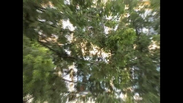 Путешествие в Москву на 3-ёх палубном т/х Яков Свердлов в 2003 году. 4 серия