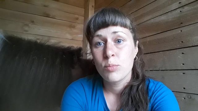 Что можно дать Коню, а что Категорически Нельзя. / Вкусняшки / Лошадь