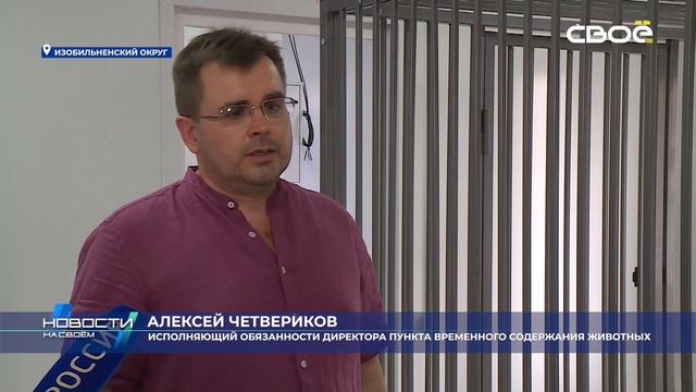 В Изобильненском округе открыли пункт временного содержания для бездомных животных