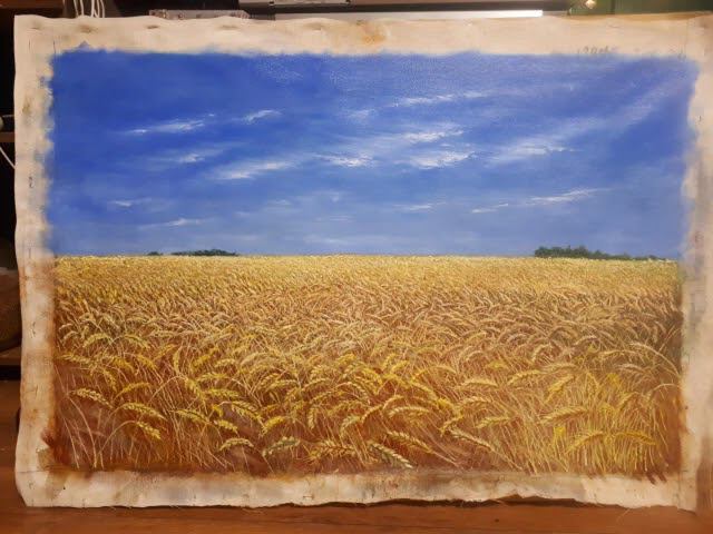 Поле для  души