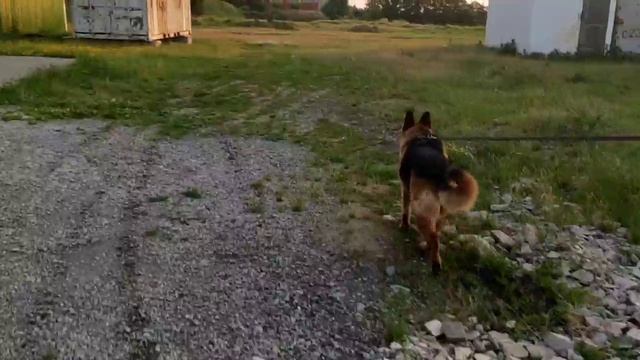 фройляйн Nora на арогулке