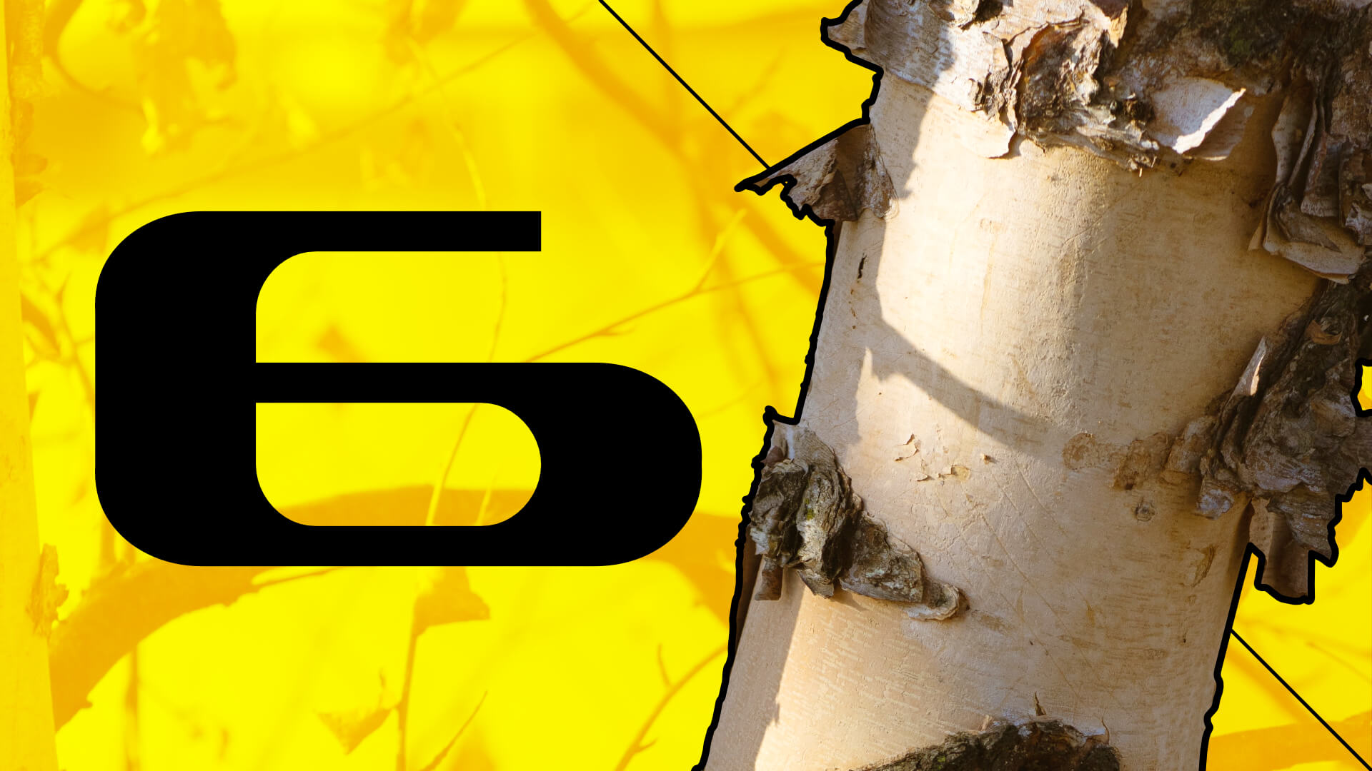 #несвалка. 6 серия. Изменяй мир