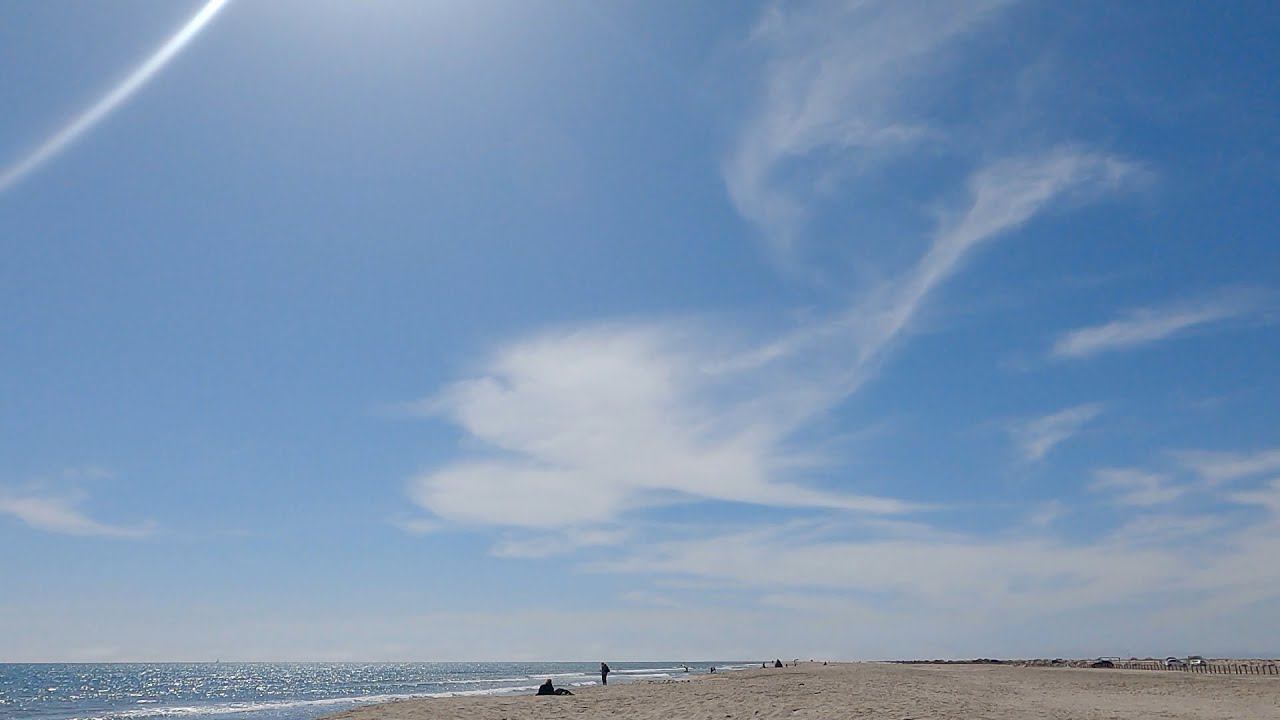 Raga Shobha Mudgal - Music - Meditation - Relaxation - Sahaja Yoga
