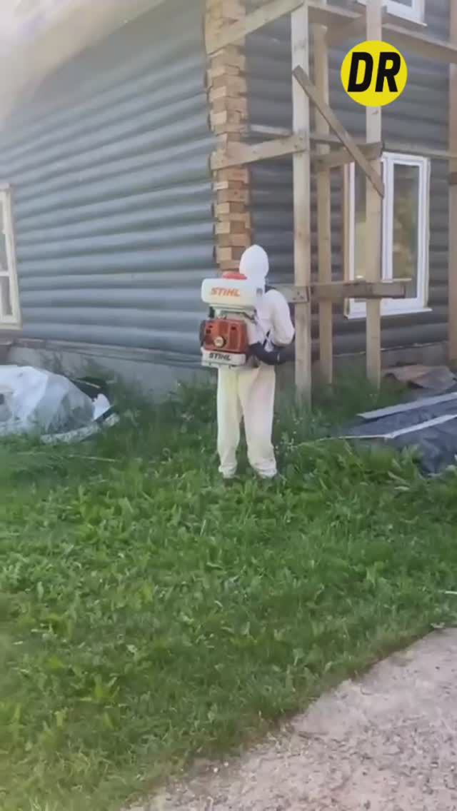 Обработка от короеда в Dezraptor