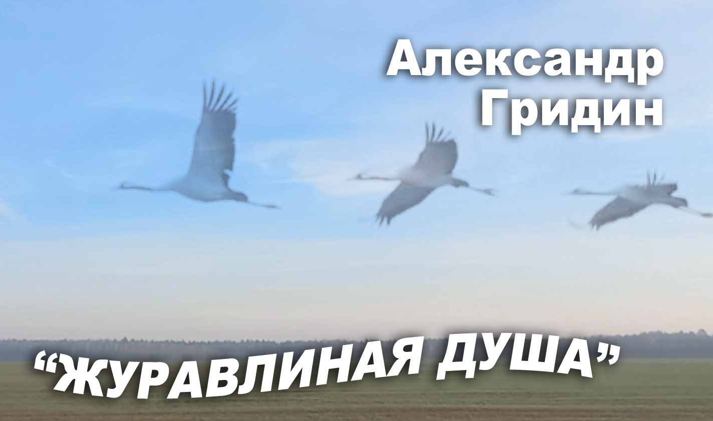 Александр Гридин: Журавлиная душа