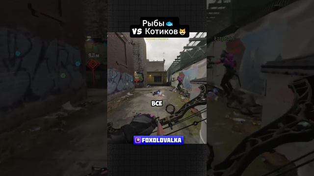 Рыбы VS Котики — Call of Duty: Warzone #twitch #cod
