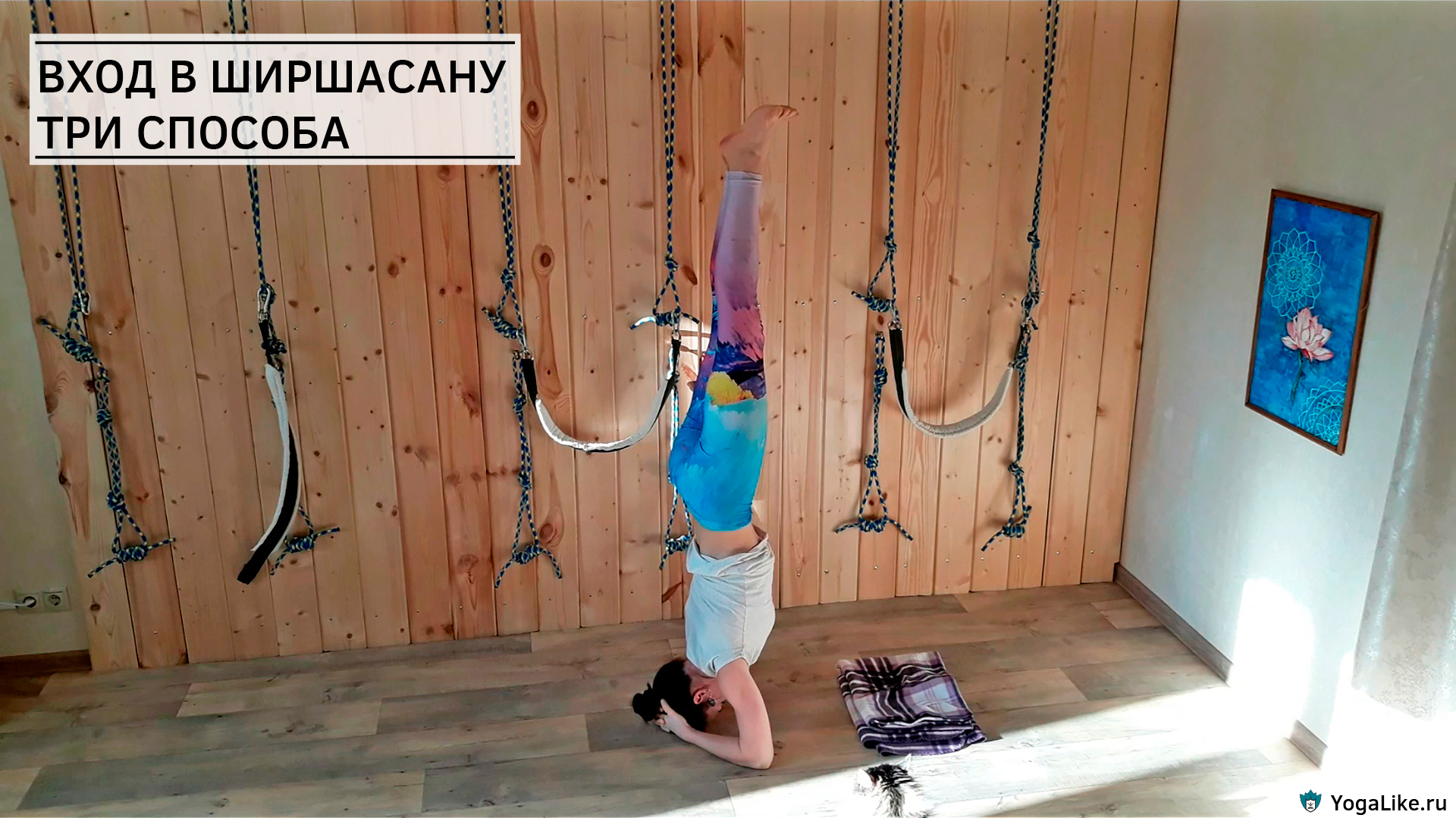 Три способа войти в Ширшасану. Ольга Гончарова