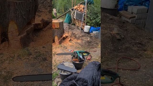 Убираем пень