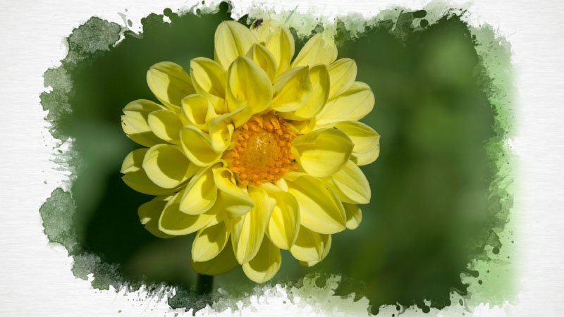 Музыка для души. Невероятно красивая музыка Сергея Чекалина. Жаркий день.