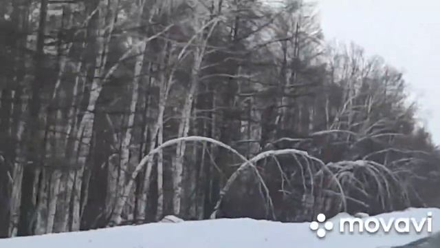 Зима продолжается..mp4