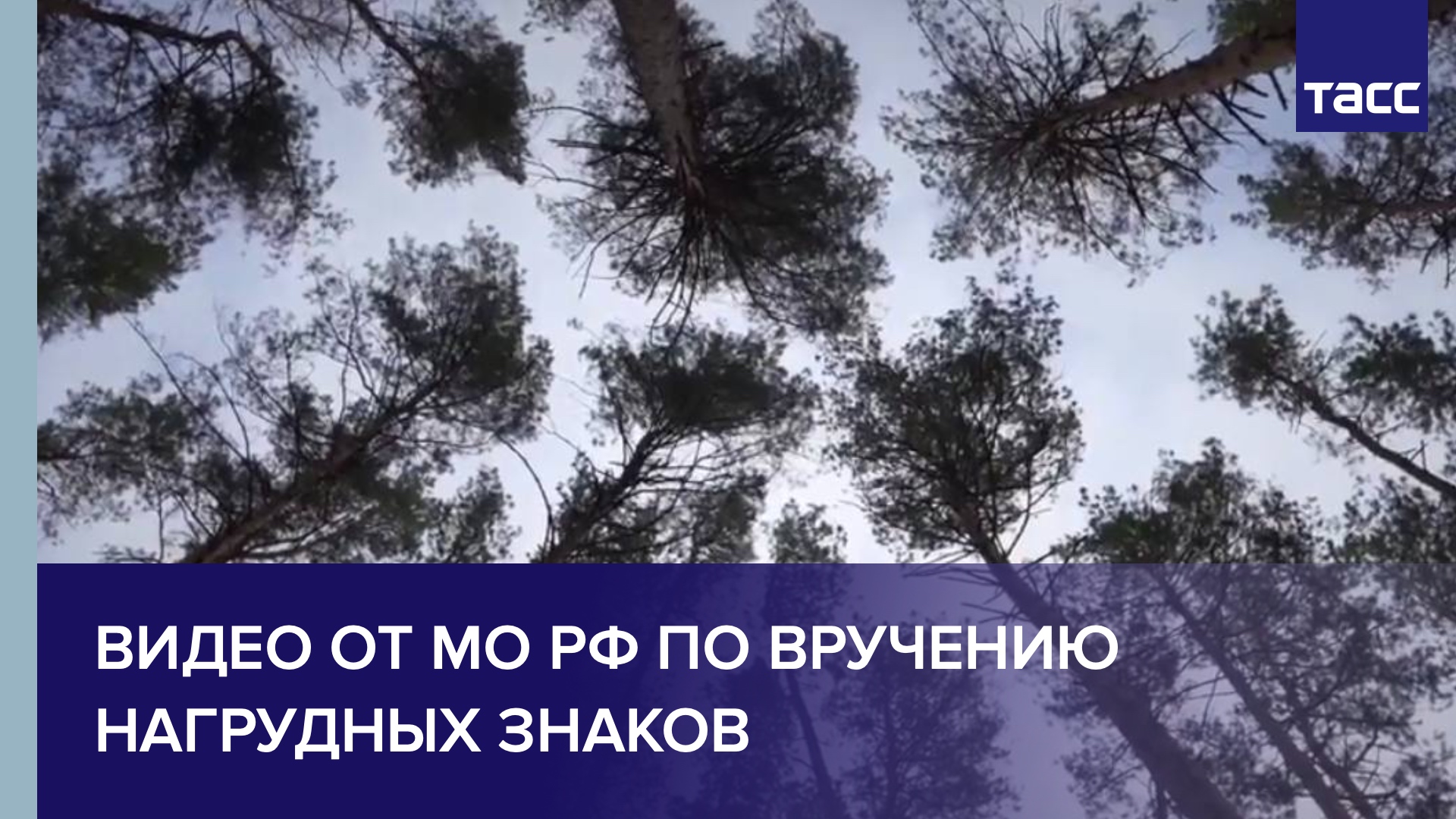 Видео от МО РФ по вручению нагрудных знаков