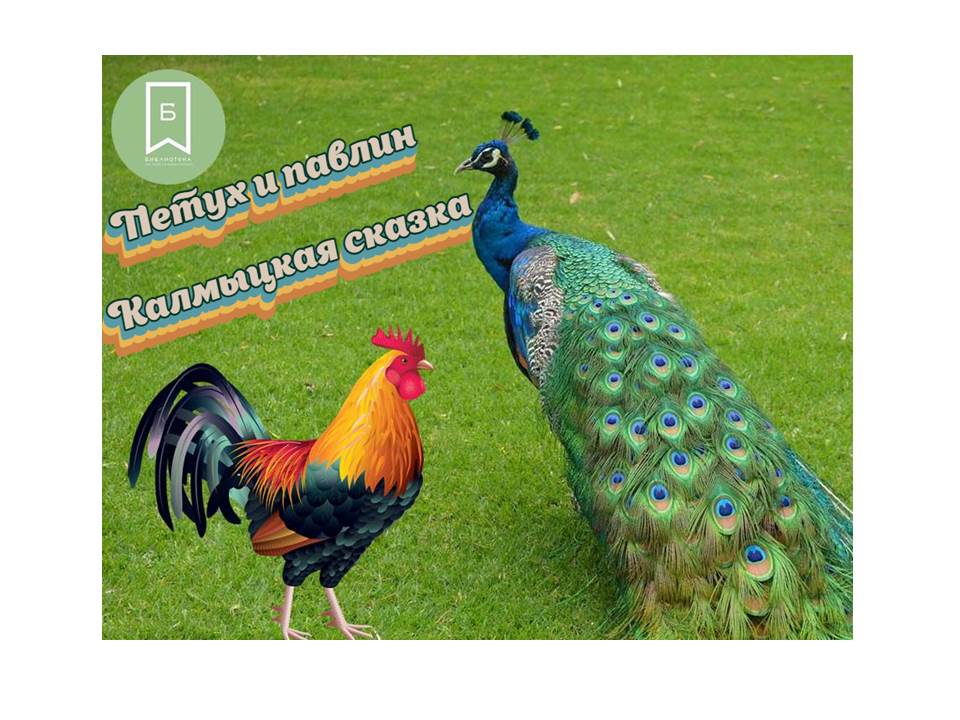 Петух и павлин. Калмыцкая сказка.