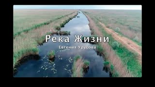 (Ютуб 2020г.) Река жизни