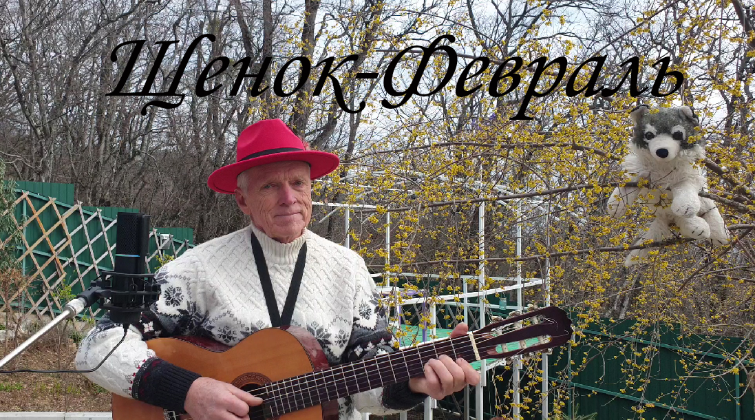«Щенок-Февраль». Стихи – Анатолий Чайка, мелодия – Николай Носков