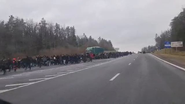 Иракские мигранты 2.