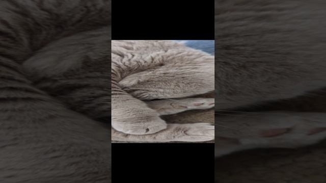 Разбудили зайку ?