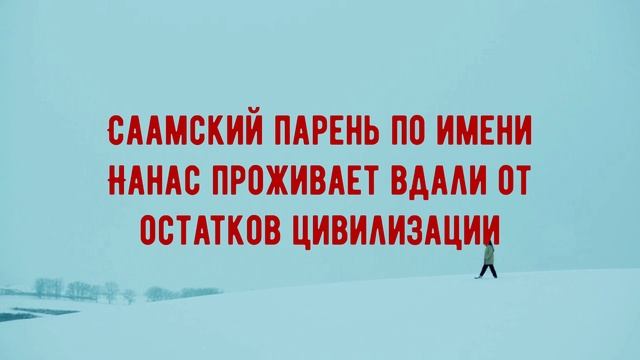 Метро 2033. Север