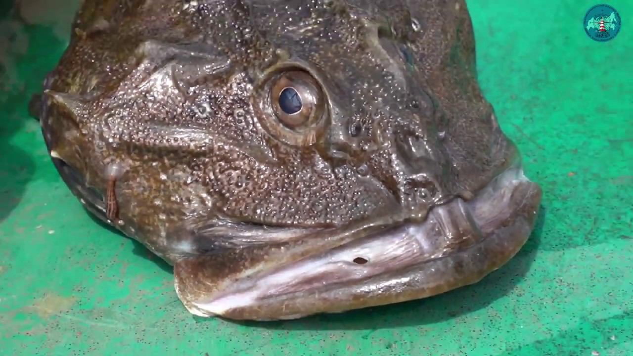 Экспедиция "Восточный бастион". Экспедиционный Корпус РТУ МИРЭА.