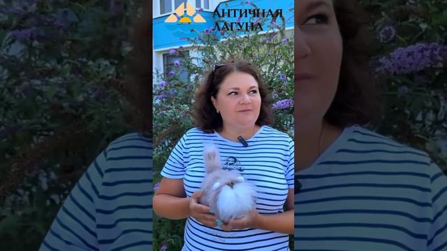 Отзыв. Античная Лагуна. Севастополь