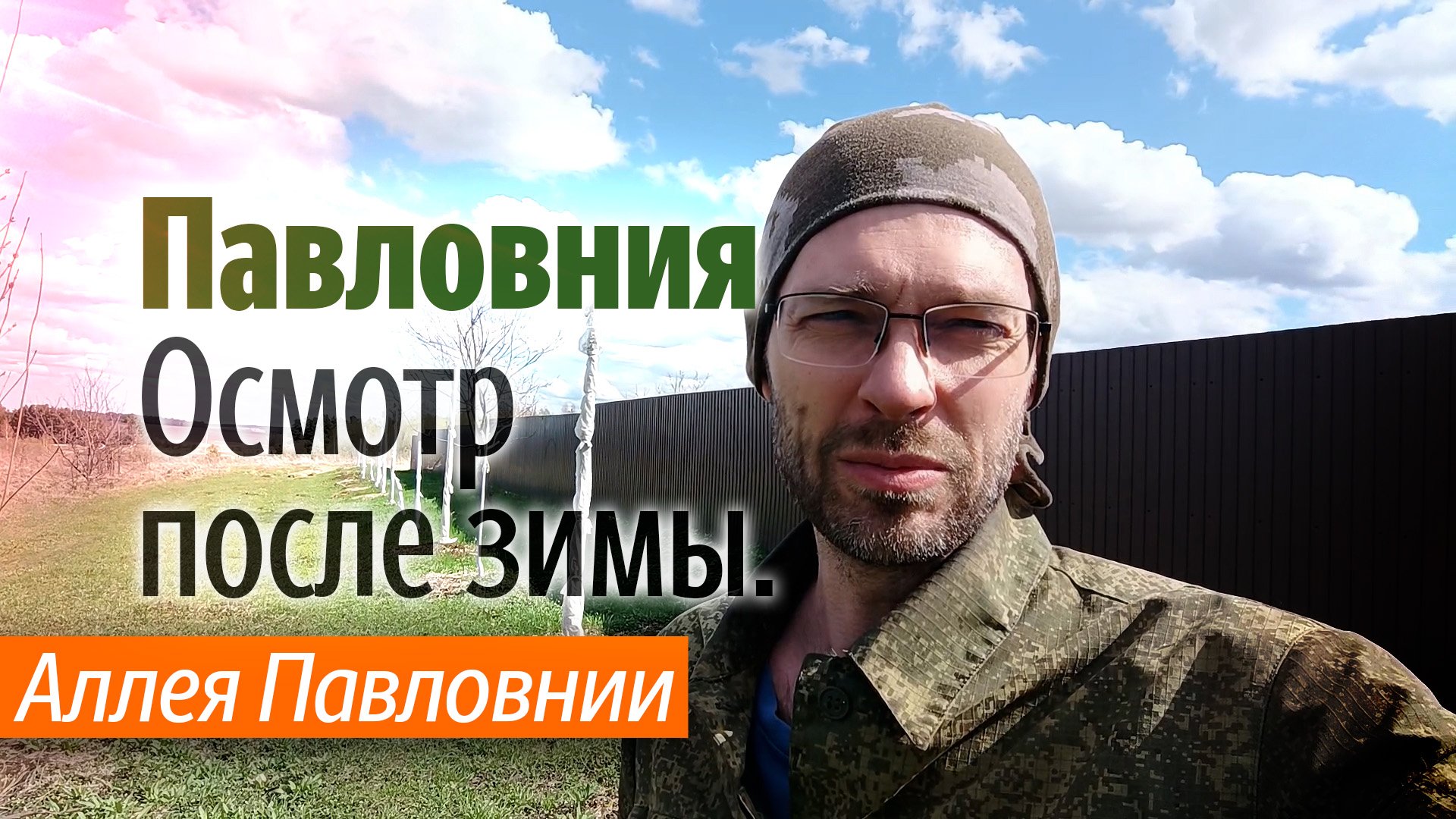 Аллея Павловнии на 20.04.2024 Снятие укрытия Осмотр после зимы