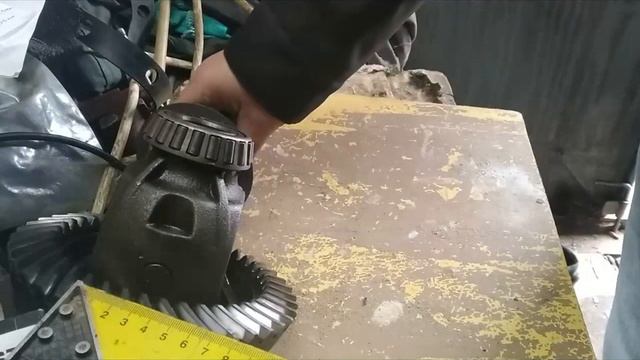 Немного теории о DANA 30 и главных парах вообще