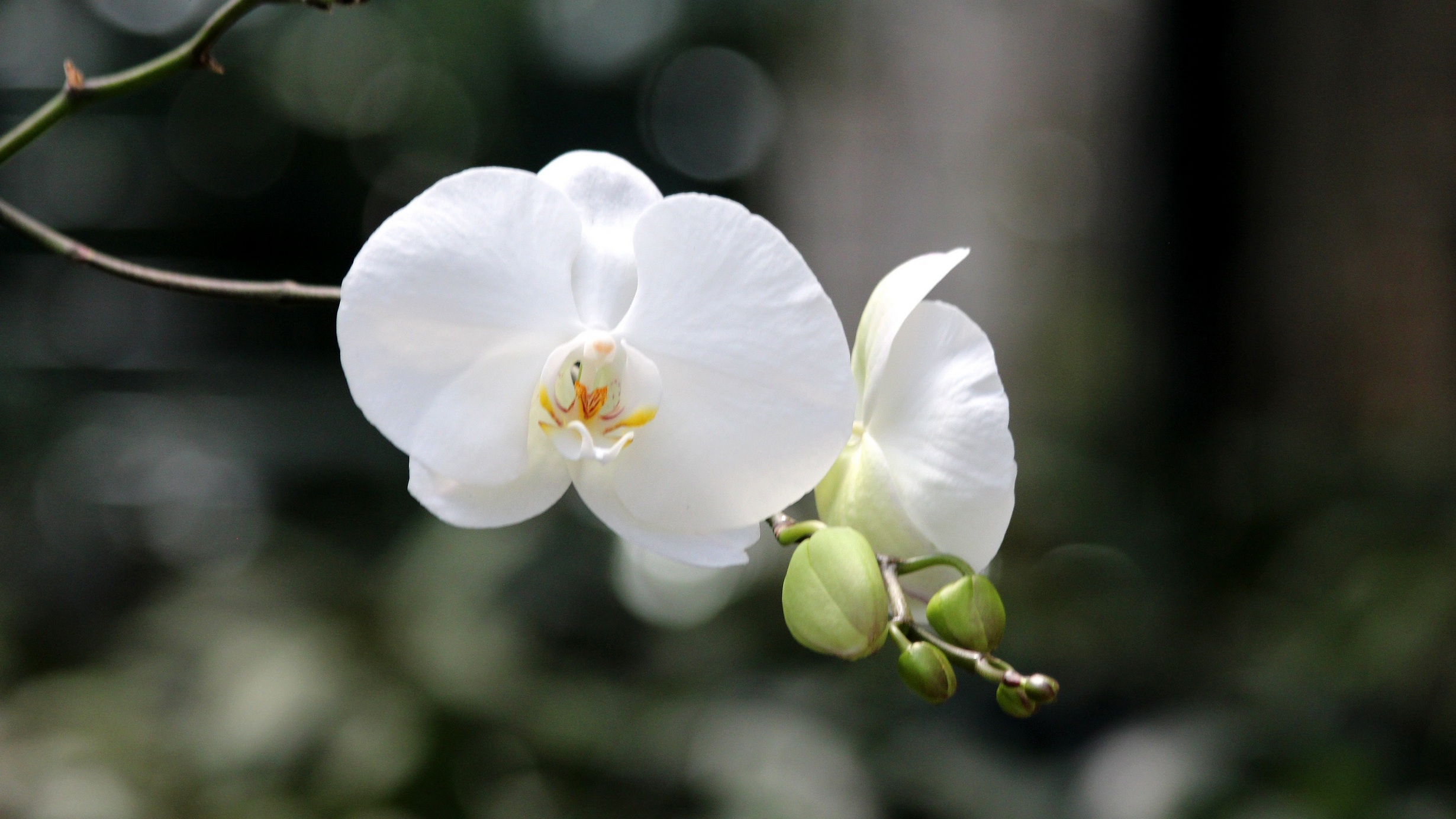 Экхарт Толле - 30. По ту сторону эго, озвучивает Nikosho.mp4