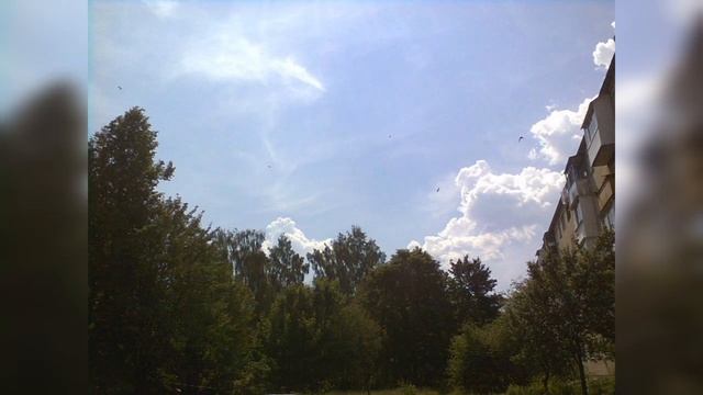 Летнее настроение.mp4