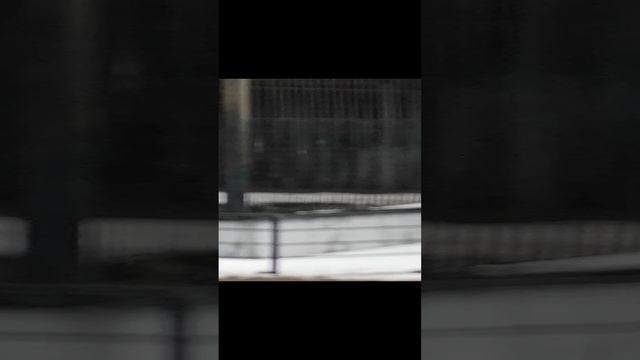 Леопард Лада