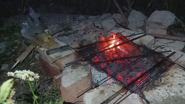 ОТец приготовил барбекю крылышки, рыбу и кабачки на костре