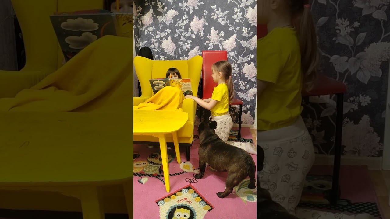 Девчонки сами записали ролик #ксюшаимаша #винтик #французскийбульдог #супернастуся #солнечныймалыш