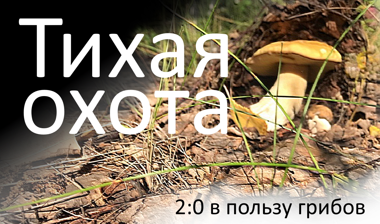 Охота не в нашу пользу