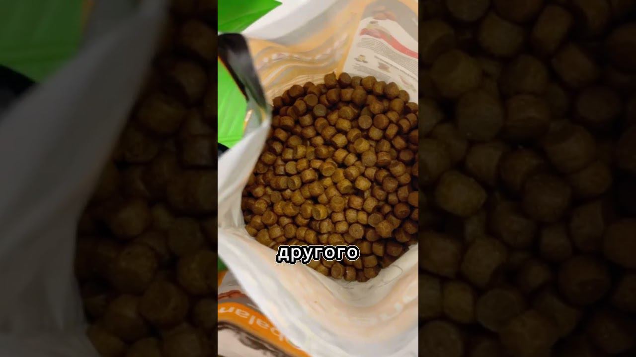 Как взвесить сухой корм, если нет весов #шортс  #каквзвеситькорм
