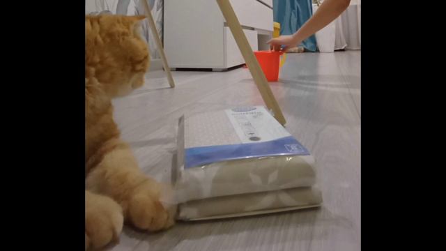 Пытаюсь попасть мячом в ведёрко (но суть видео не в этом )