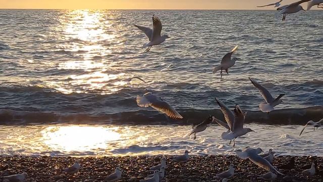 Закат  на море !