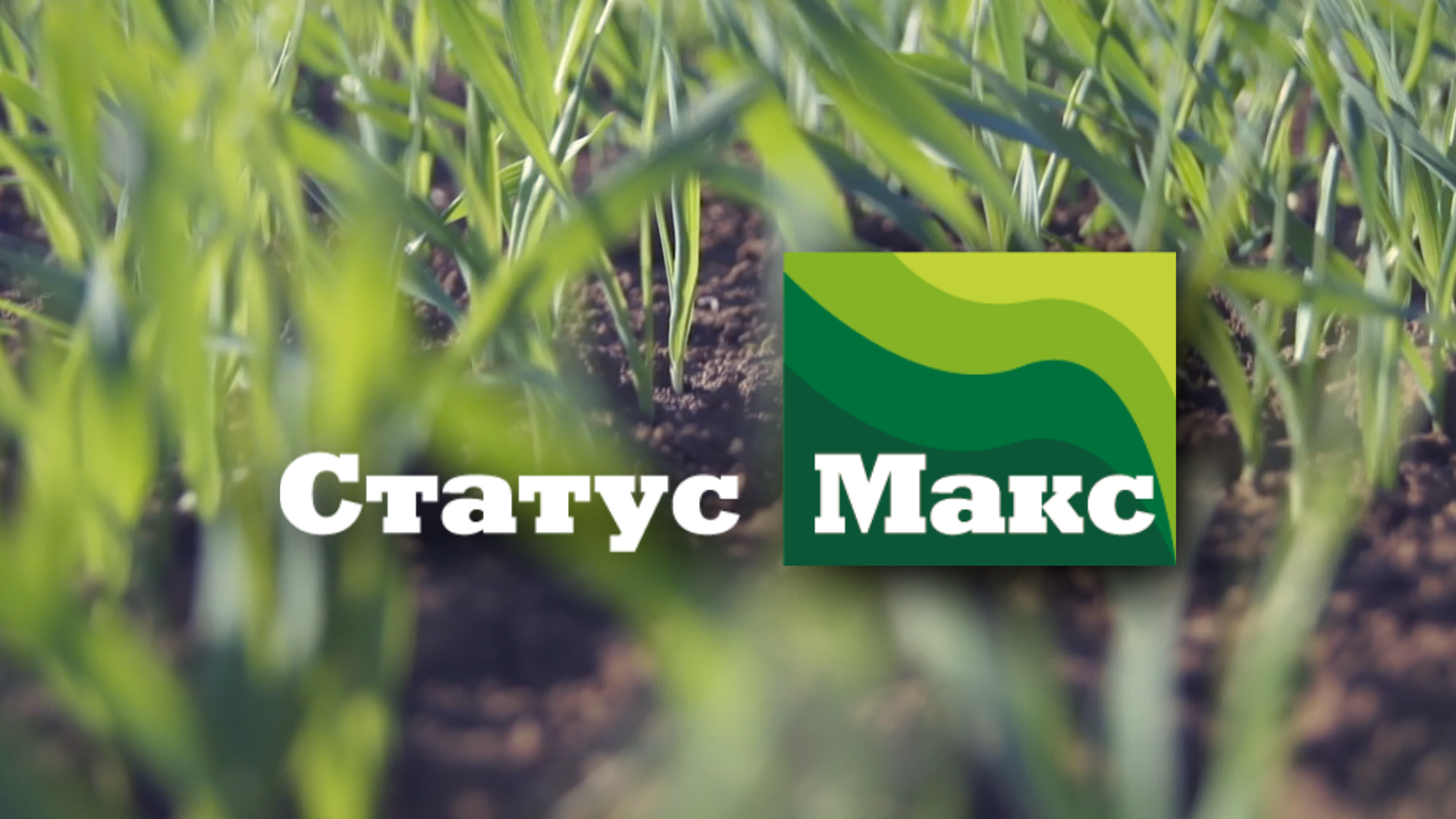 Гербицид Статус Макс