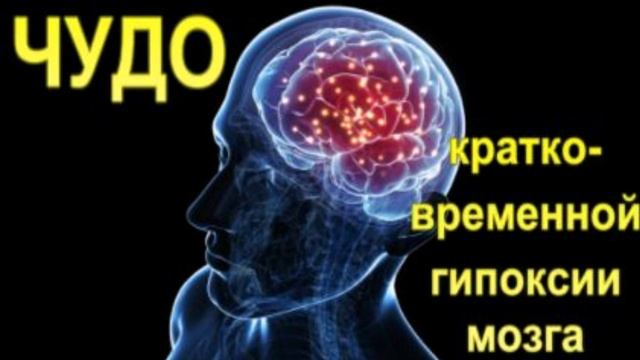Агрессивная собака. Есть способ... Совет кинолога