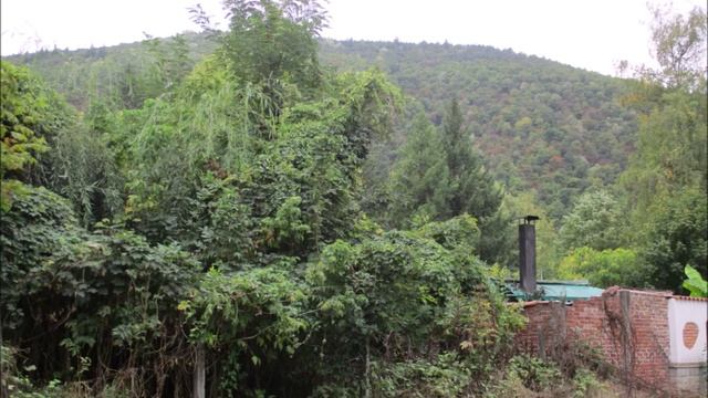 ПЪТУВАНЕ ИЗ ЗАПАДНИТЕ РОДОПИ /част 30/. БРАЦИГОВО