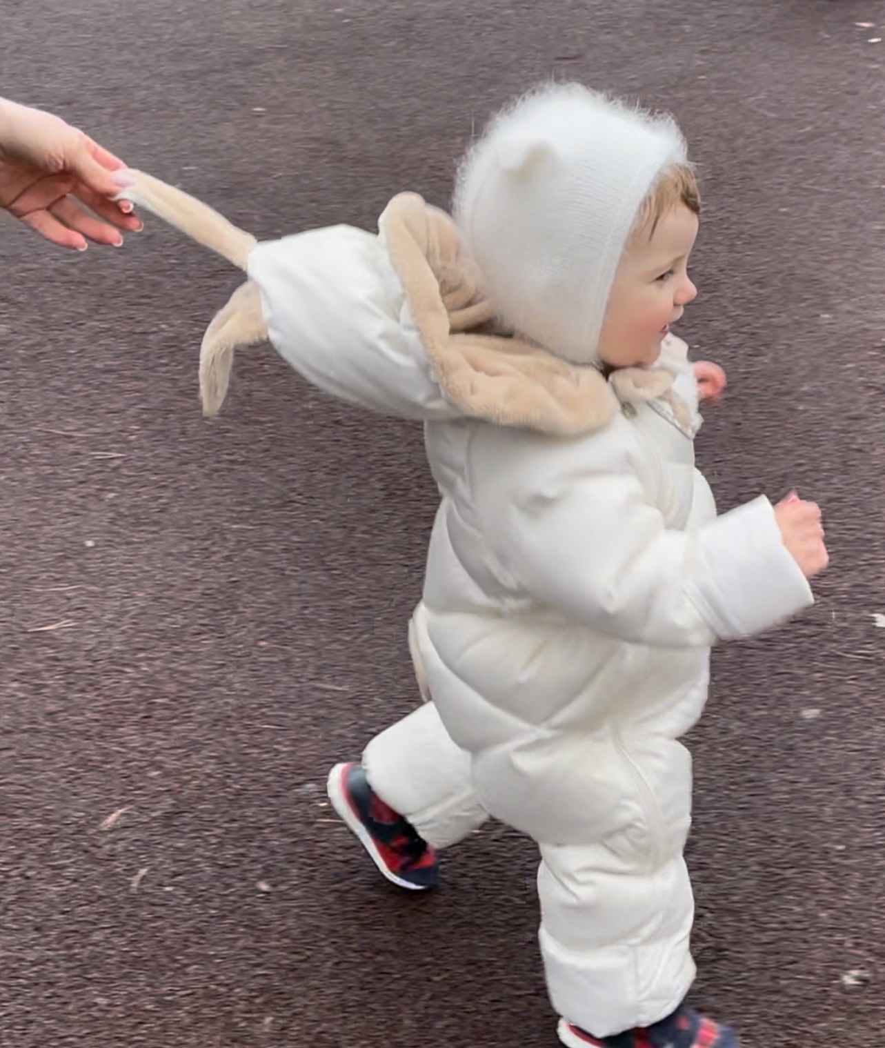 Первые шаги