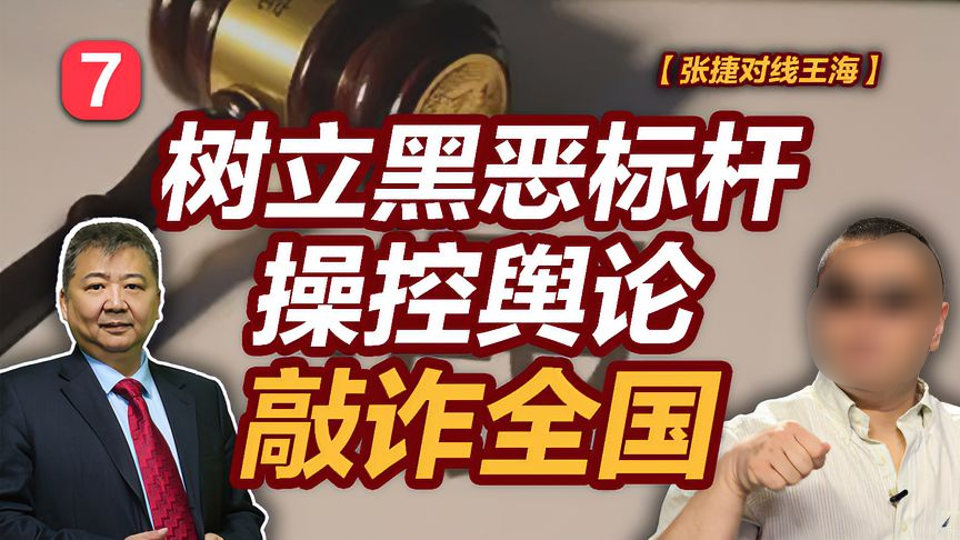 【张捷对线王海之七】树立黑恶标杆操控舆论敲诈全国 | 知假买假【张捷财经观察】