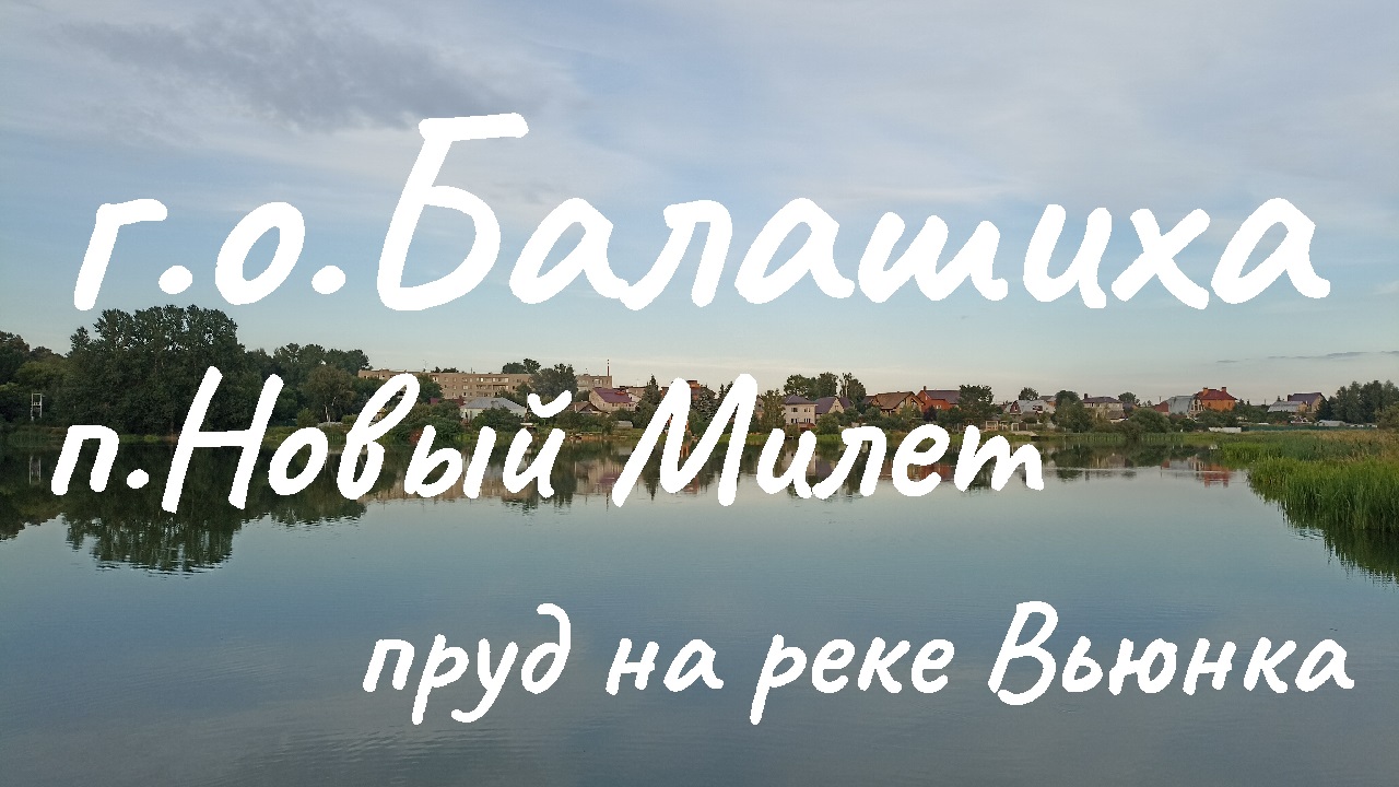 Рыбалка в Новом Милете, Балашиха, лето 2022.mp4