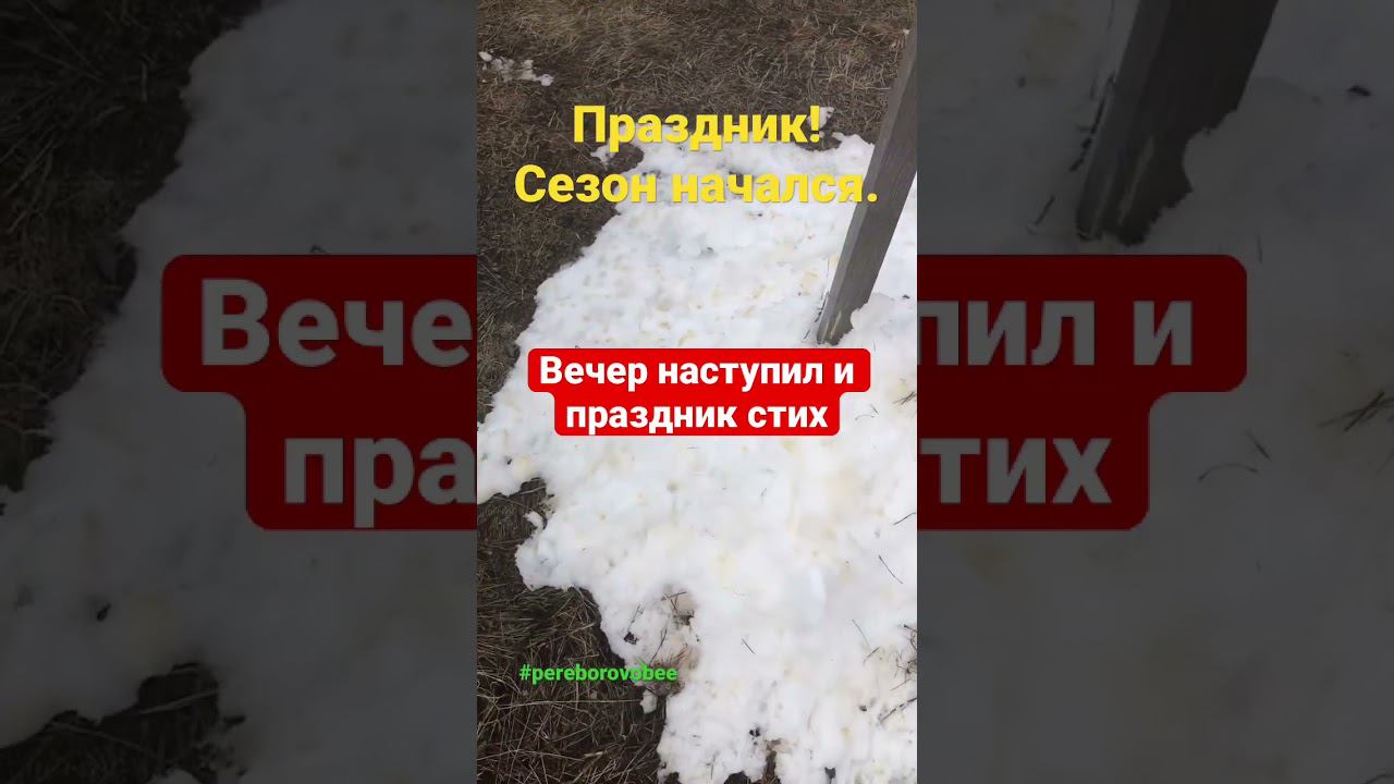 Праздник стих к вечеру #pereborovobee #пчеловодство #bee #пчеловод #улей #пасека #праздник