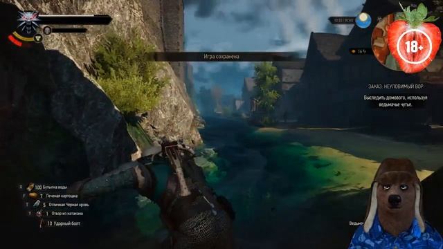 Ведьмак 3: Дикая Охота прохождение Geronimo / джеронимо