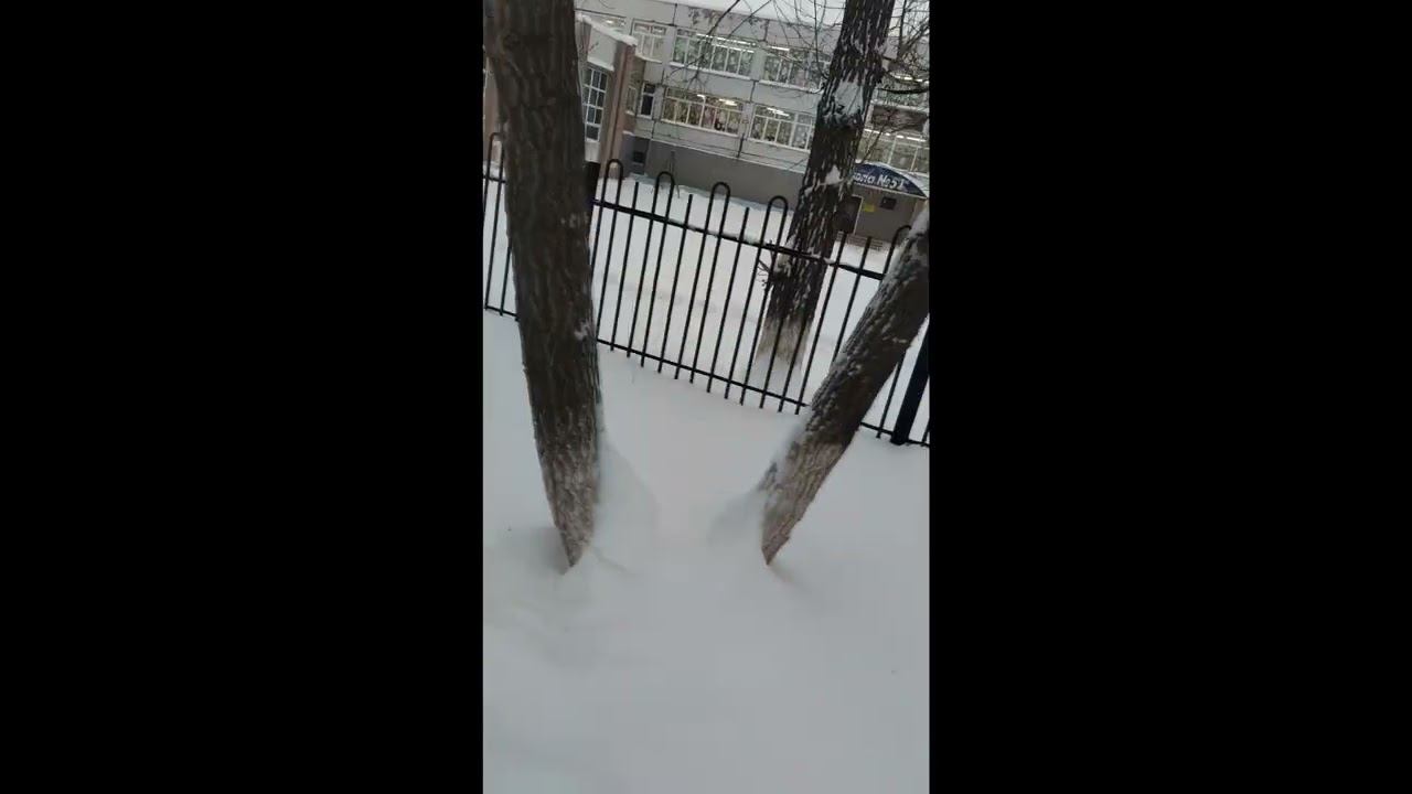 Как выгоднее отправить посылку Почтой России + наша погода