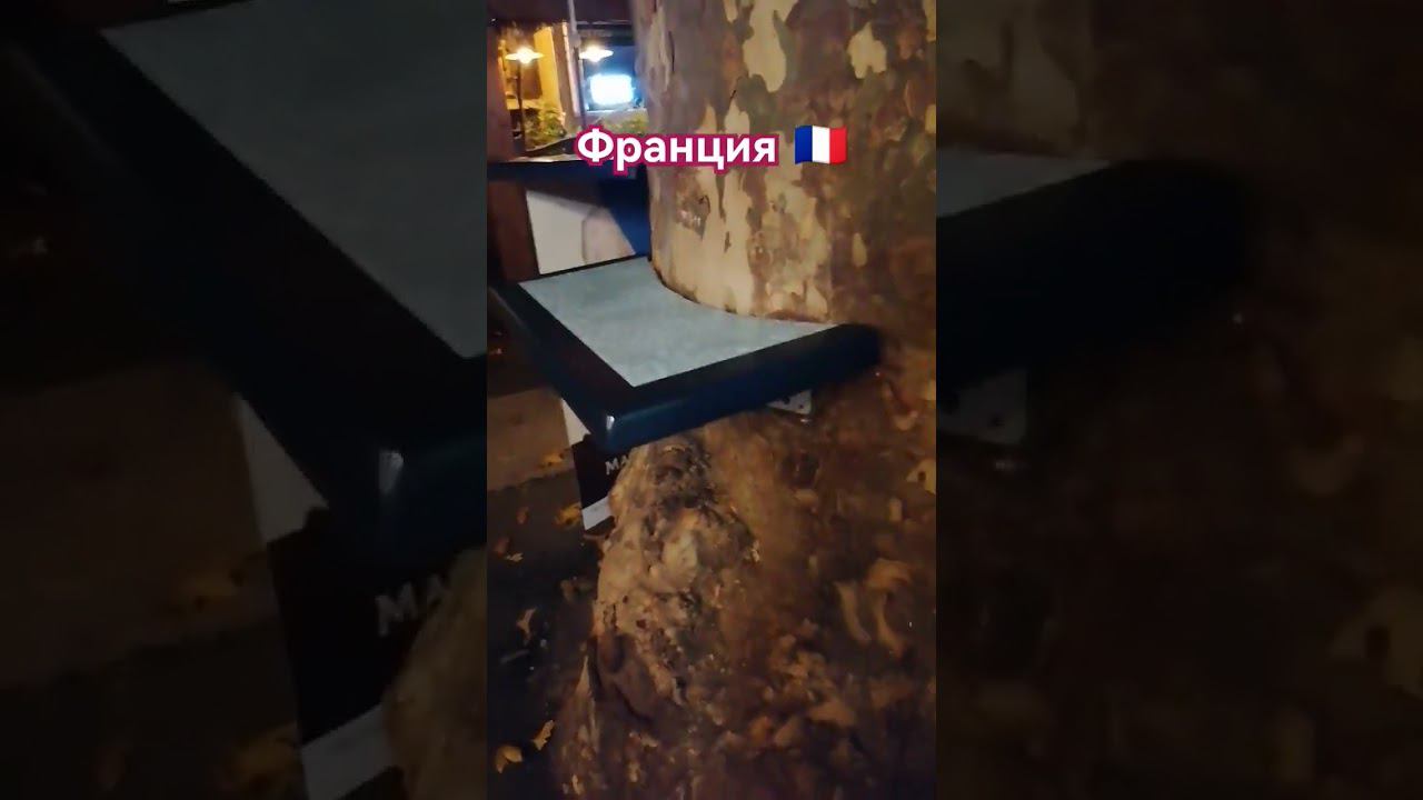 "Забота" о деревьях. Франция